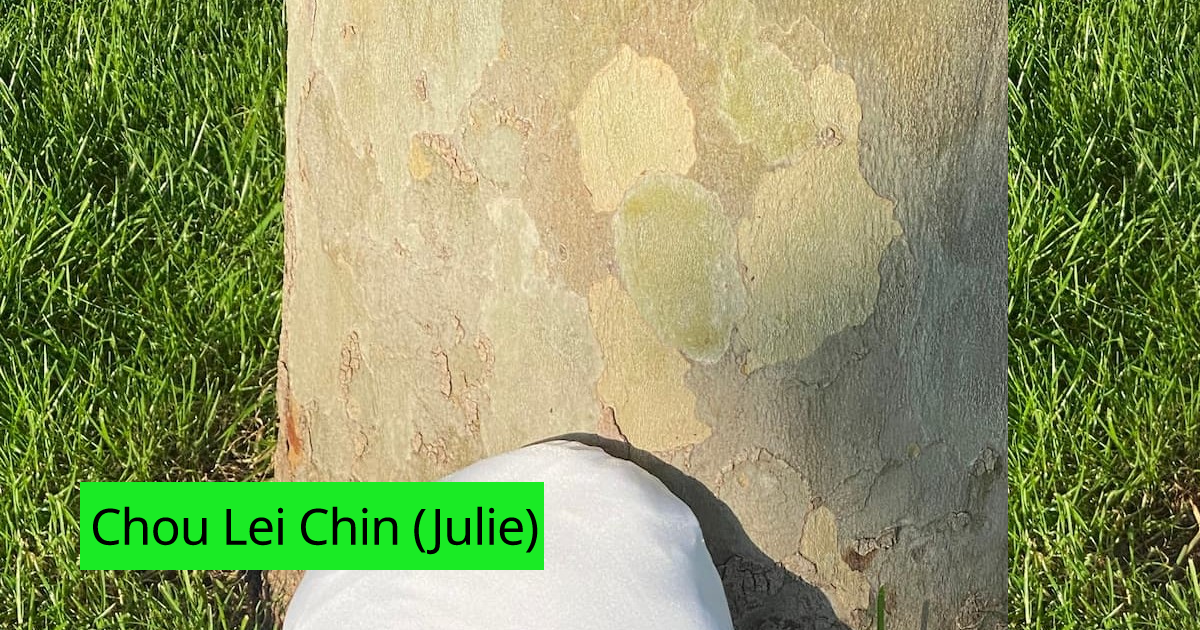 Chou Lei Chin (Julie)